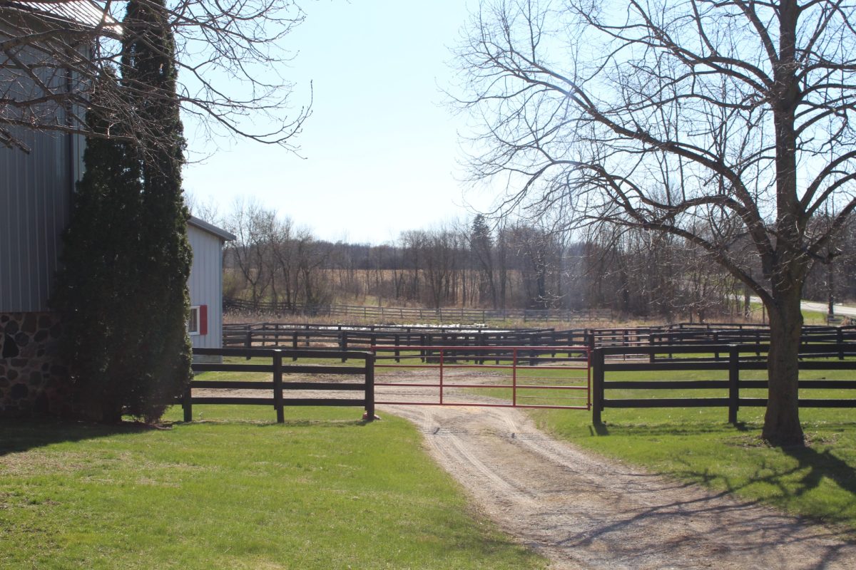 Our Farm
